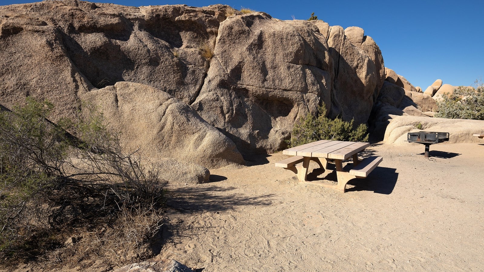How to Elope in Joshua Tree National Park in 2025