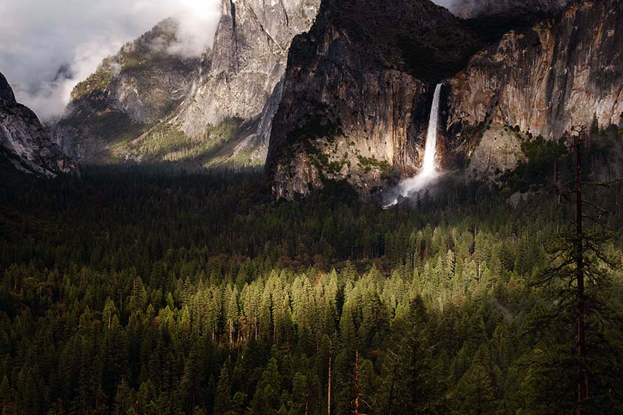 17 Best Places to Elope in Yosemite National Park