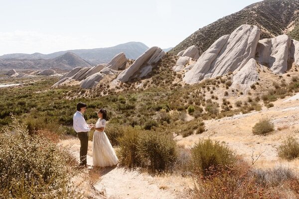 Mormon Rocks Elopement Portraits